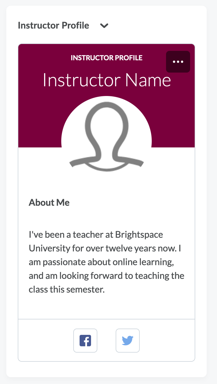 Instructor Profile Widget – Avenue Help