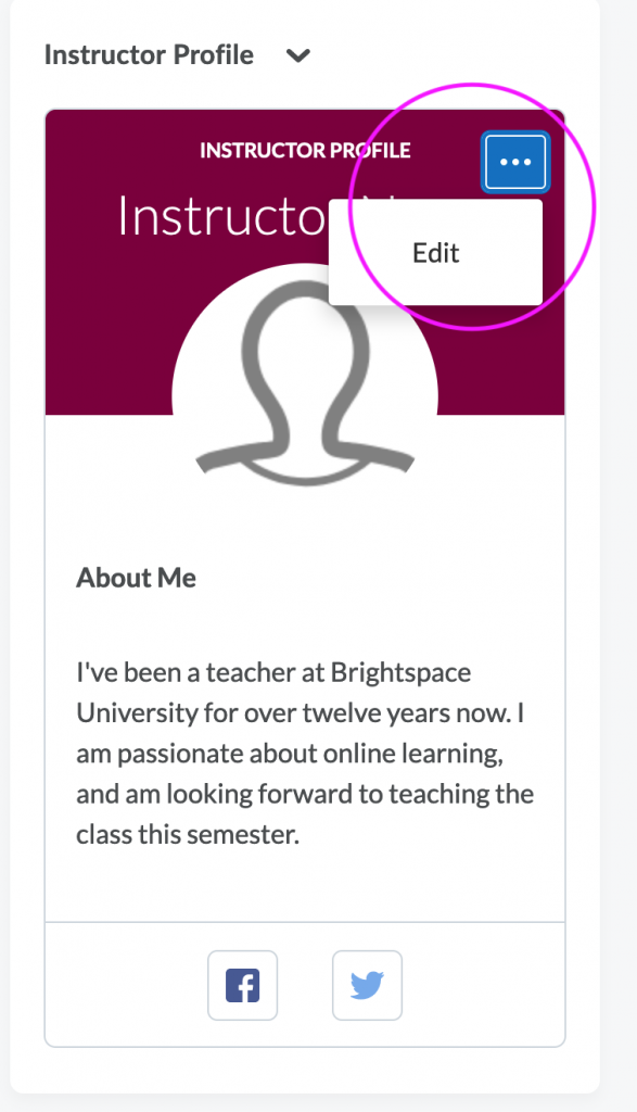 Instructor Profile Widget – Avenue Help