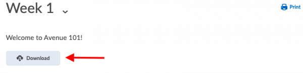 Student’s Guide To Avenue To Learn – Avenue Help